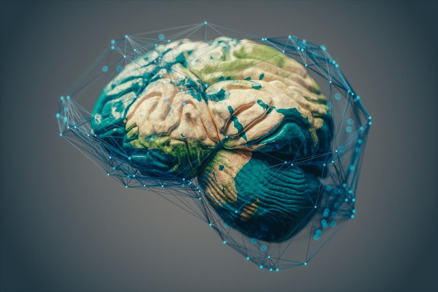 Our Parkinson's Place: Parkinson's: 'Adaptive' brain implant may ...