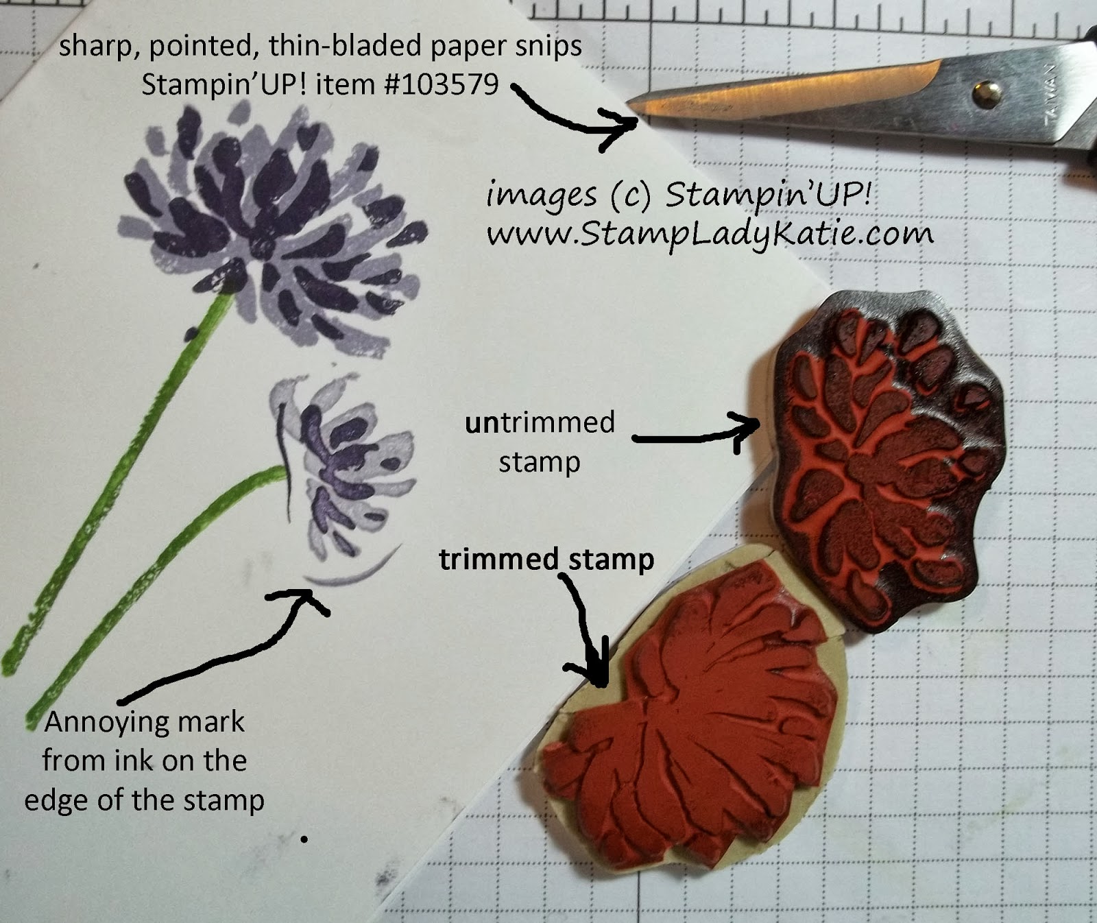 StampLadyKatie.com: 2-Step Stamping with Too Kind