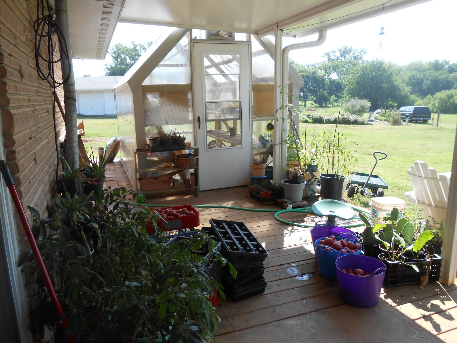 Windy Acres Diary: July 2013
