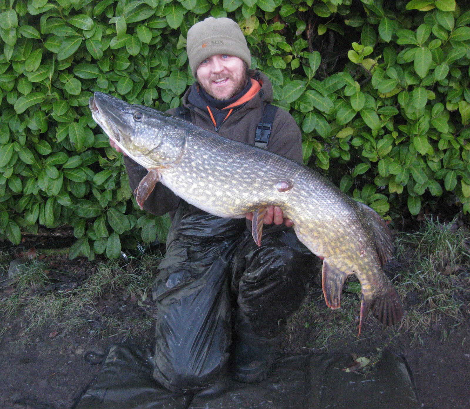 The Pike Pool: April 2012