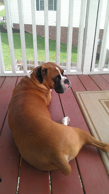 What Happens in First Grade: Money Bugs!