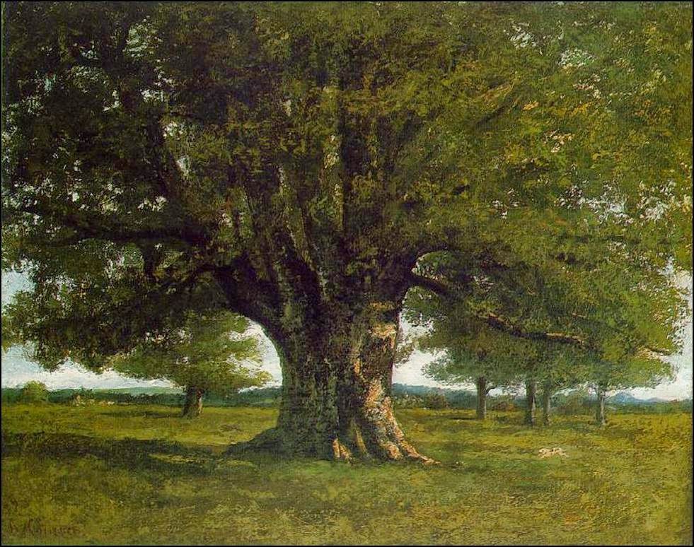 Il Rifugio degli Elfi: La Grande Quercia