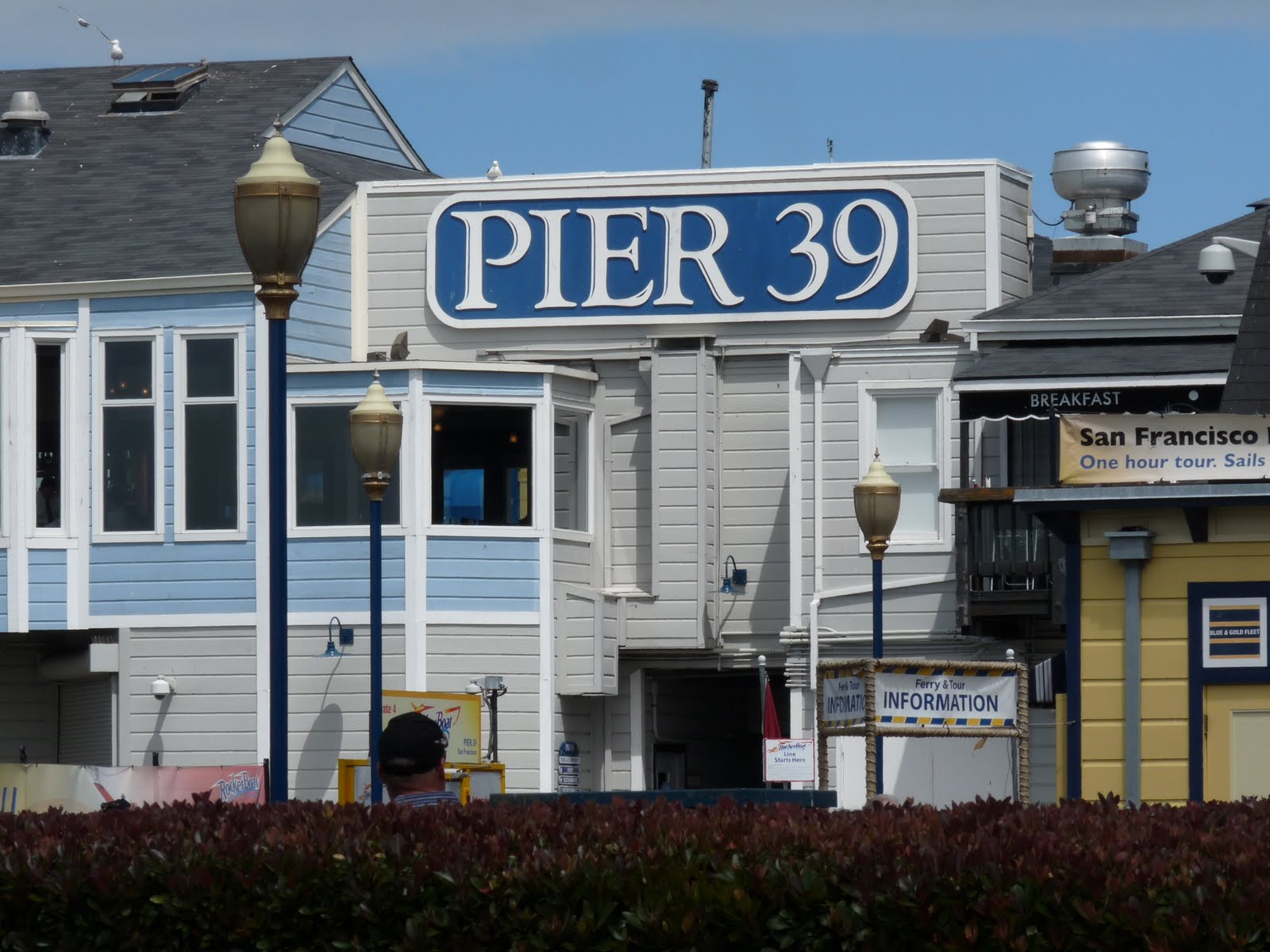 Praticamente um Local: San Francisco - Pier 39 e seus arredores!