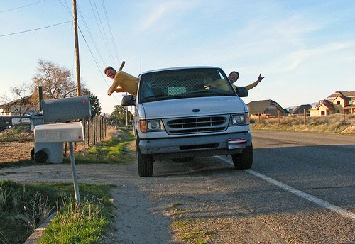 Crystal Coast Gardener: I Got Bitten By a Gift Horse Once