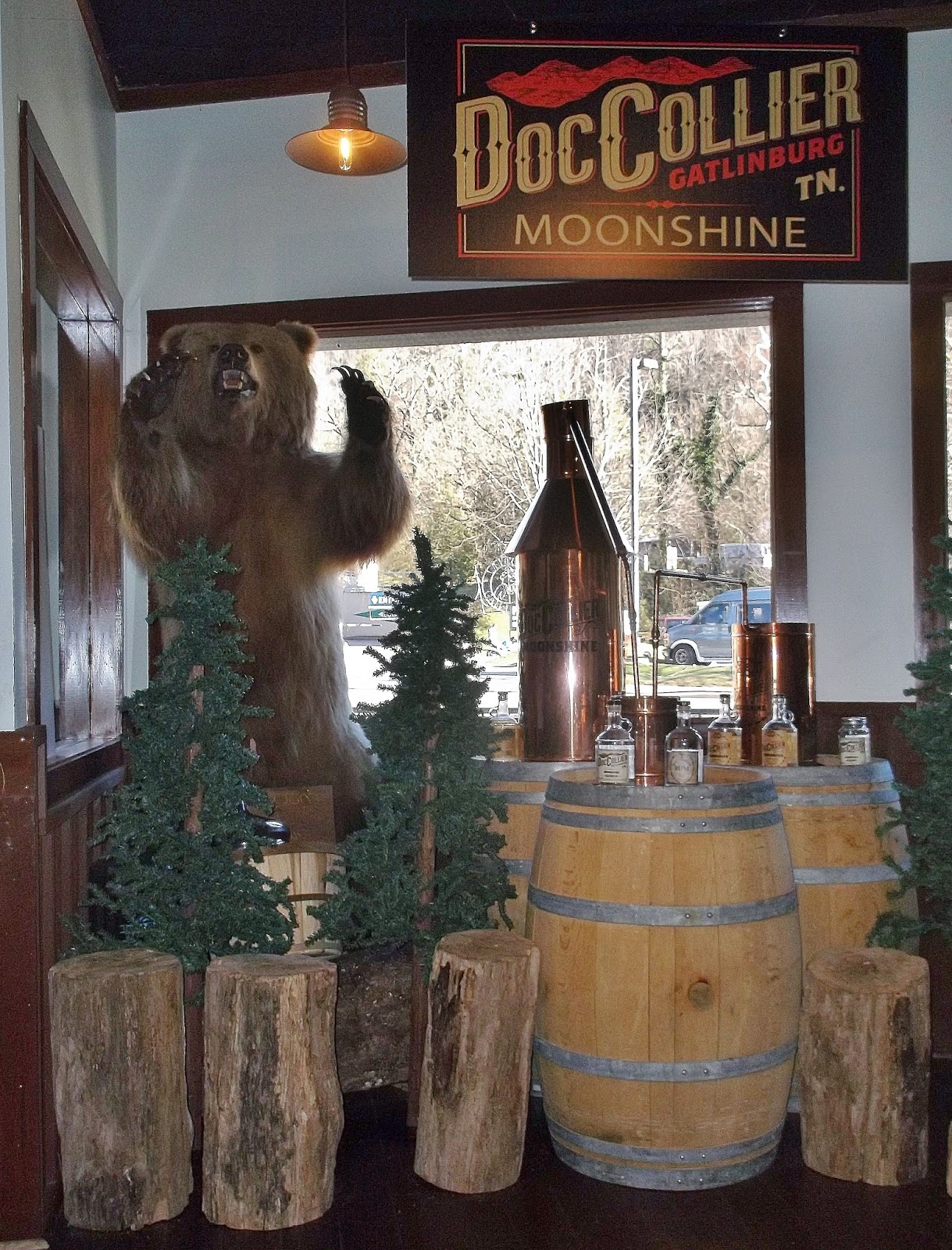 We Live In The Country!: Tennessee: Gatlinburg & Memphis: Moonshine ...