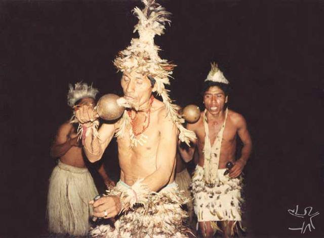 Viva a História: ÍNDIOS KIRIRI.