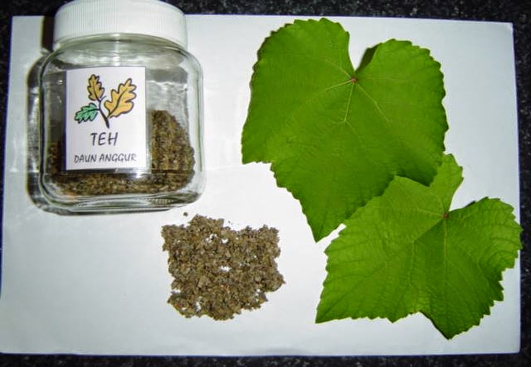Floras Lovers ... All About Gardening: Teh Daun Anggur