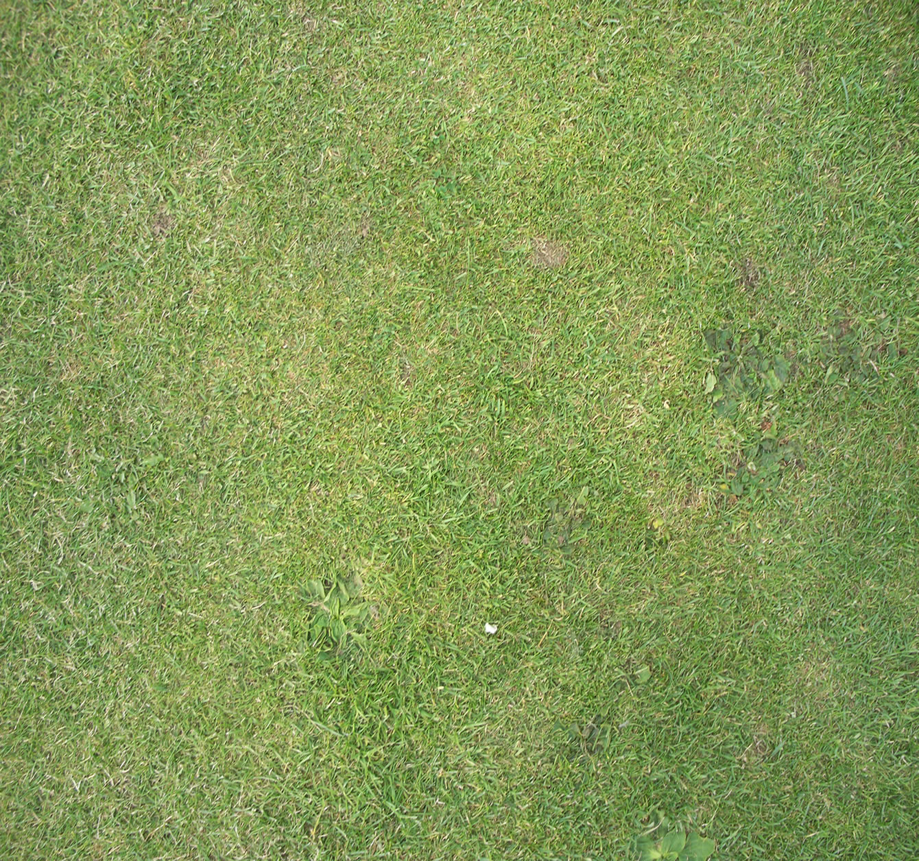 3D Maya Blog: week07