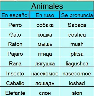 Vídeo Guía. Aprender Ruso: Guía básica 1