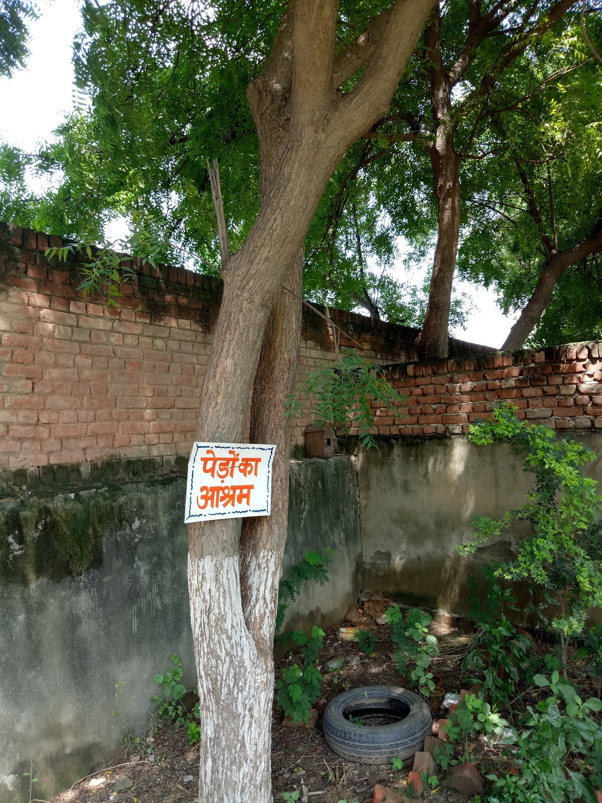 SELF SUSTAINABLE COMMUNITY