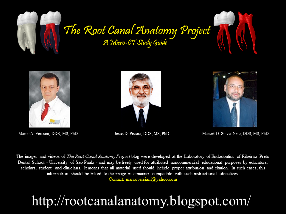The Root Canal Anatomy Project: PowerPoint Presentations