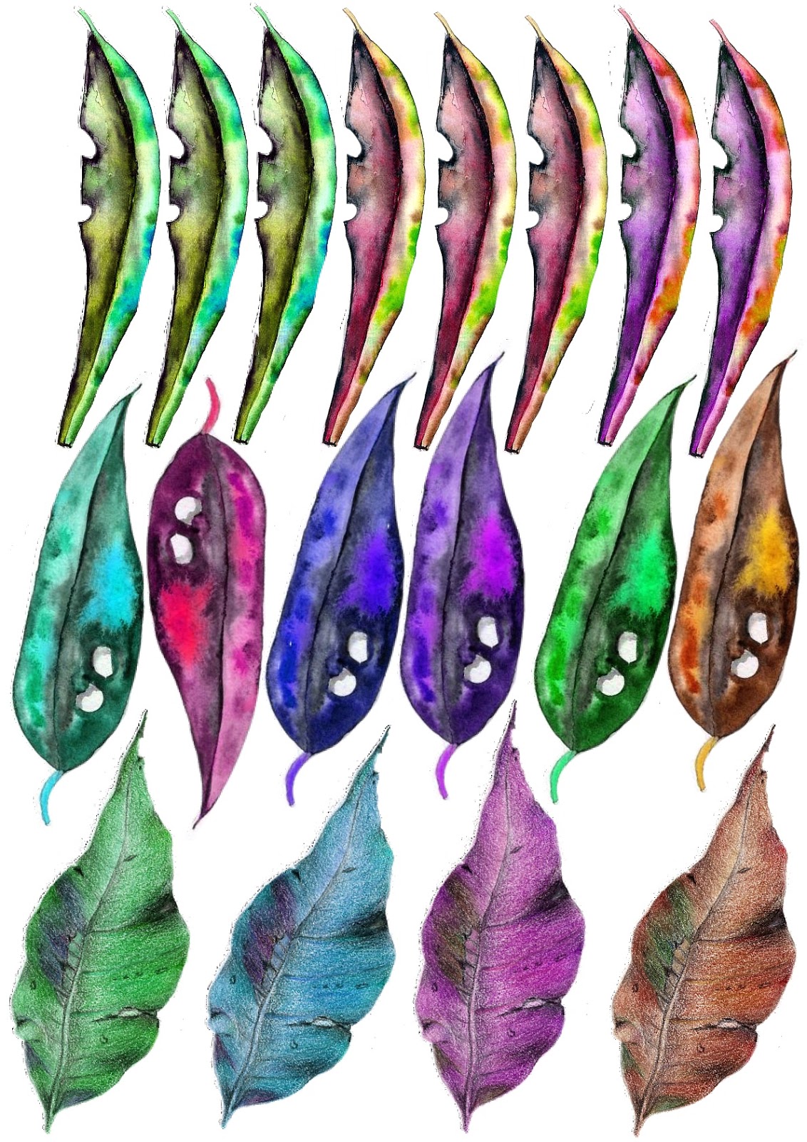 MIXED MEDIA SCRATCH ART - Frogs