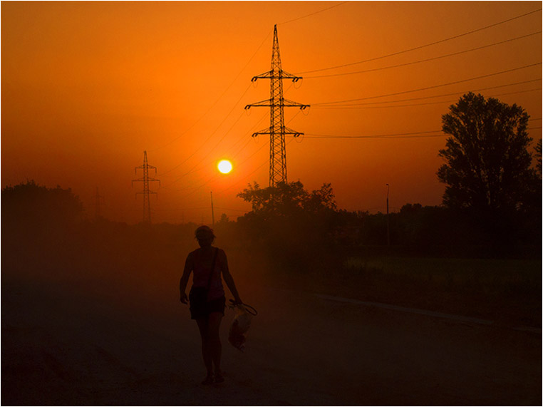 The Best Photos of the Day: August 12, 2013