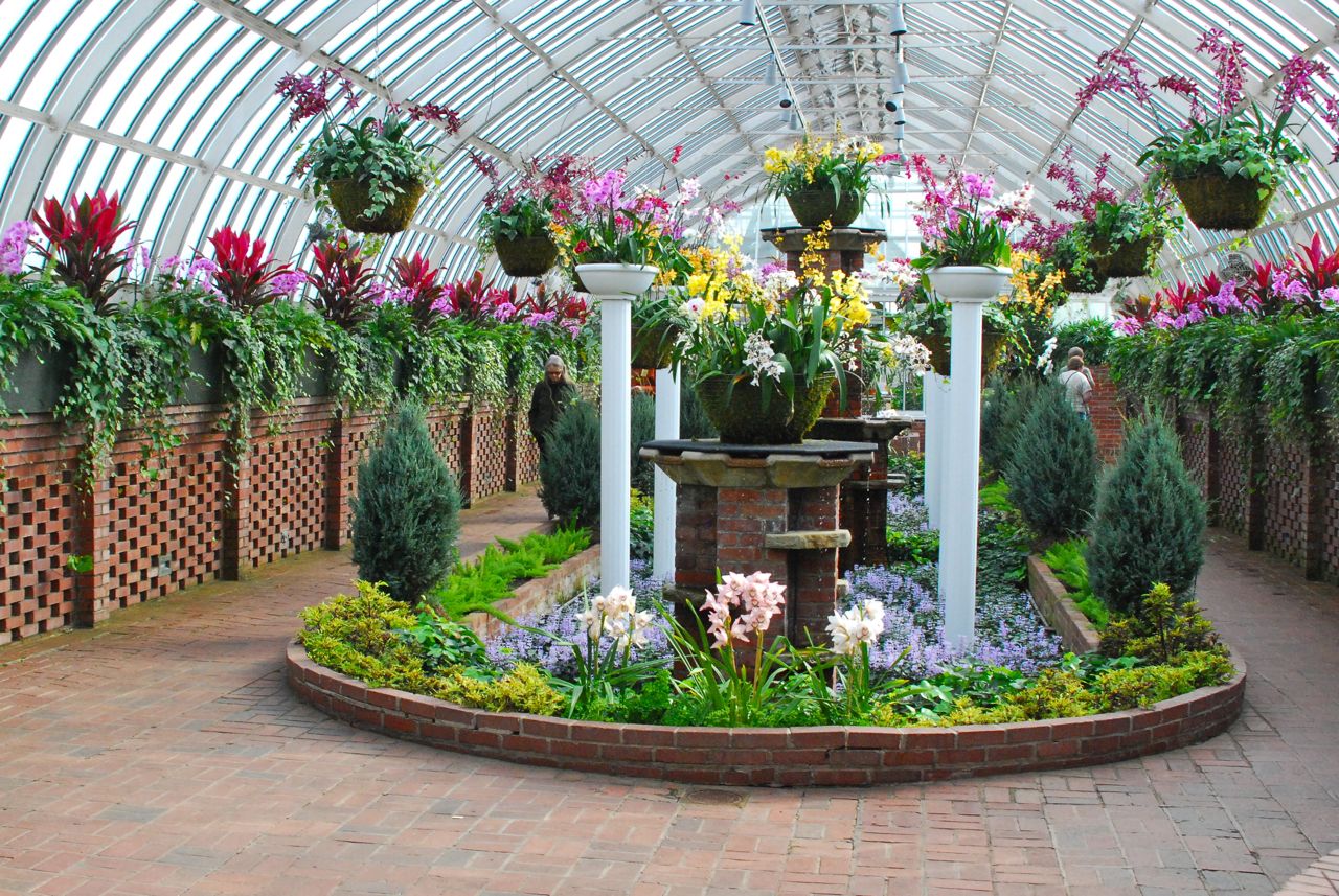 Wife, Mother, Gardener: Phipps Conservatory Orchid & Bonsai Show 2013