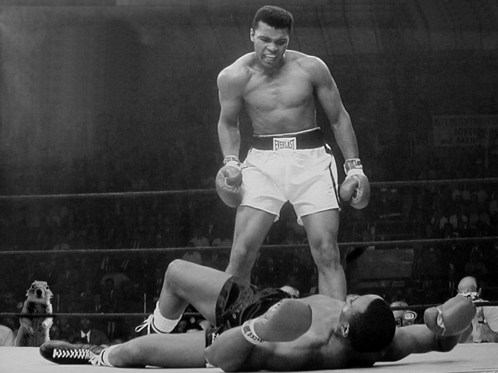 Kaplowitz Media.: Ali vs Liston II May 25, 1965: A Timely Boxing ...