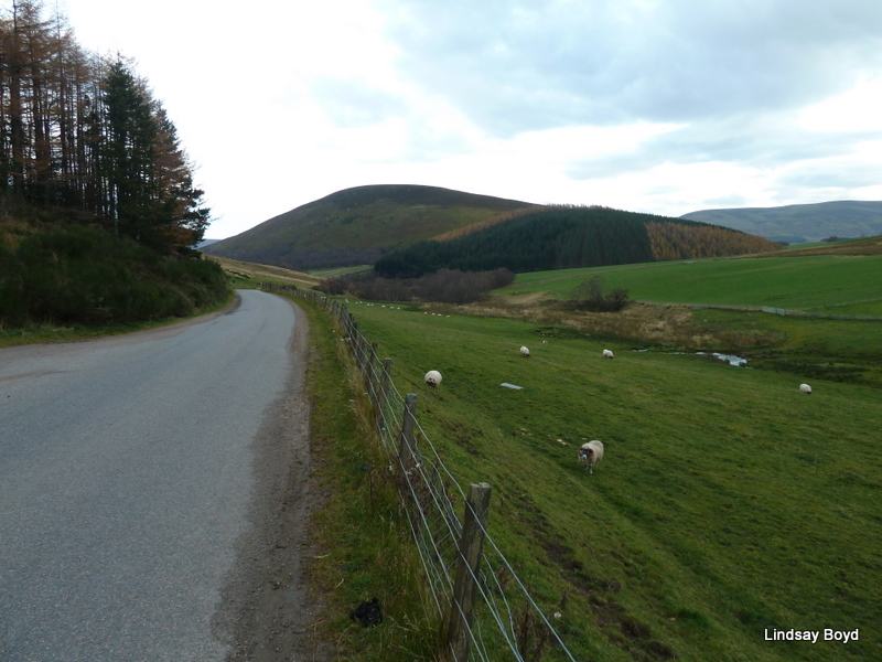 Caledonia Hilltreks Scottish Sub 2000 feet Hills: The Bochel, Glenlivet.