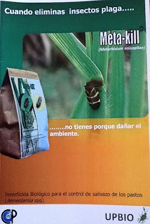 COLEGIO DE POSTGRADUADOS CAMPUS CAMPECHE: UNIDAD DE PRODUCCION DE ...