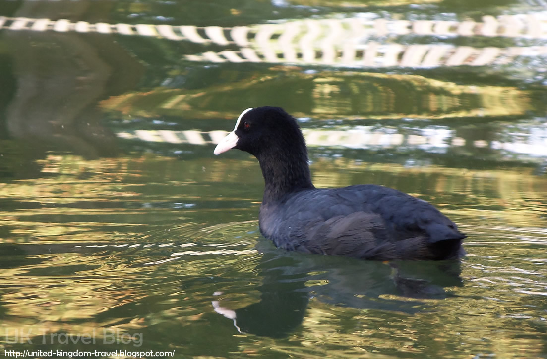 Day Picnic on a Boat | Lee Valley Country Park | Lee Valley Boat Centre ...