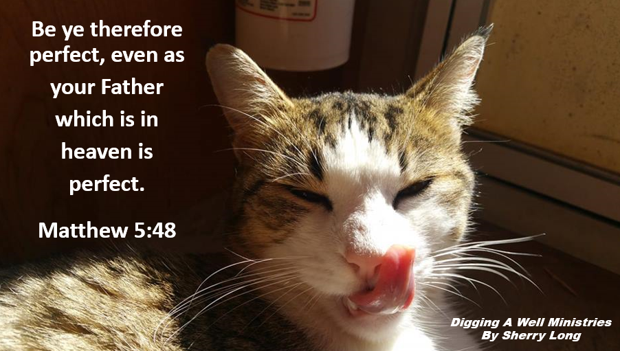Digging a Well Ministries: BE YE PERFECT