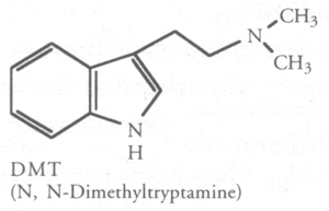 Higher Perspective: Dimethyltryptamine (DMT)