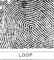 A Fingerprint Expert Blogs
