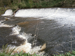 The Scottish Ramblings of an English Lass: Water of Leith ...