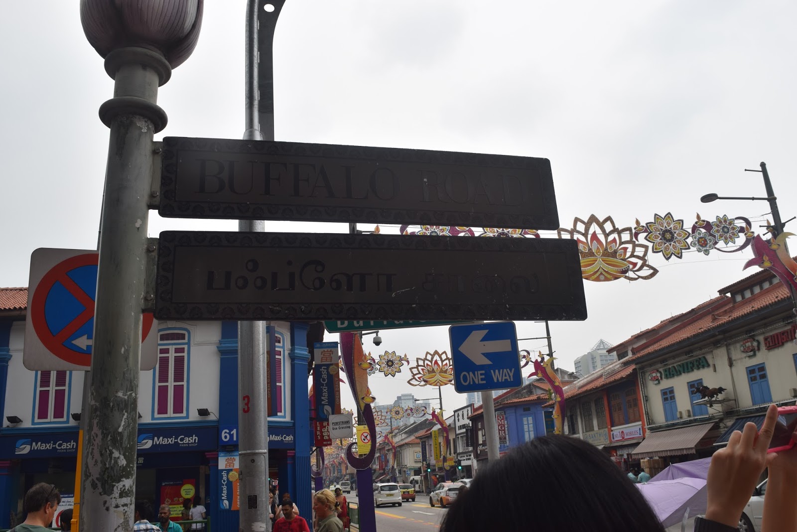 Singapore's Little India: Buffalo Road