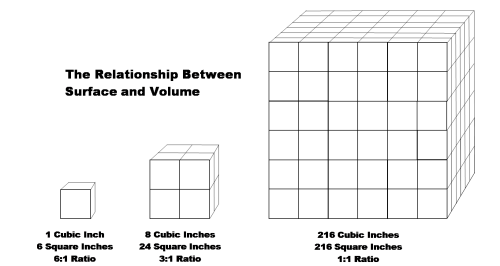 The Moderately Large Questions: January 2016