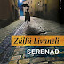 Serenad-Zülfü Livaneli - KİTAP DÜNYAM