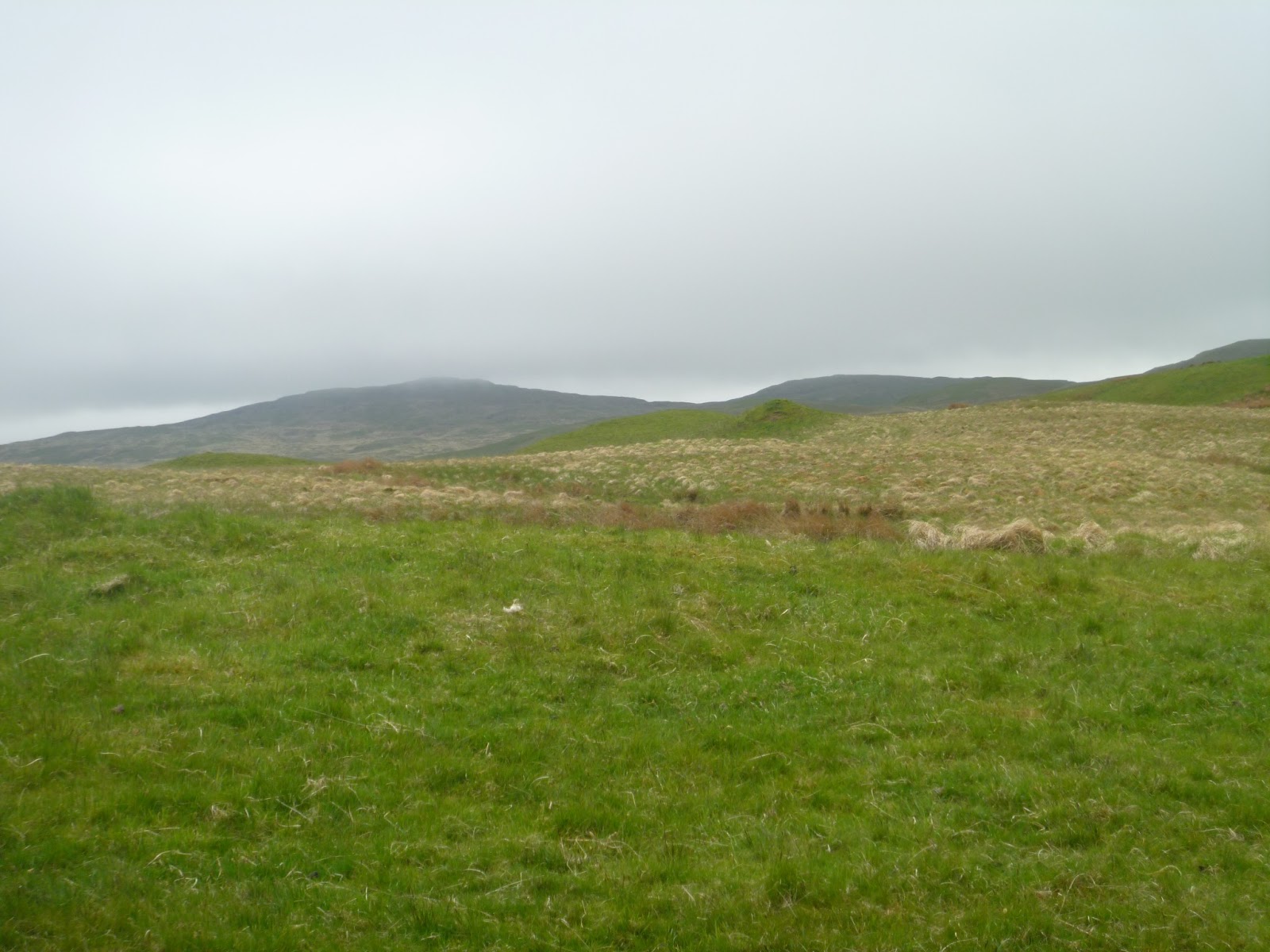 Desmondo's Ramblings: Ness Glen - Wee & Big Hill of Glenmount