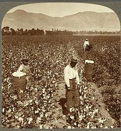 La Inmigración China en el Perú (1850 - 1890) - ARCHIVOSAGIL