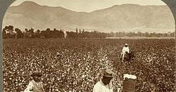 La Inmigración China en el Perú (1850 - 1890) - ARCHIVOSAGIL