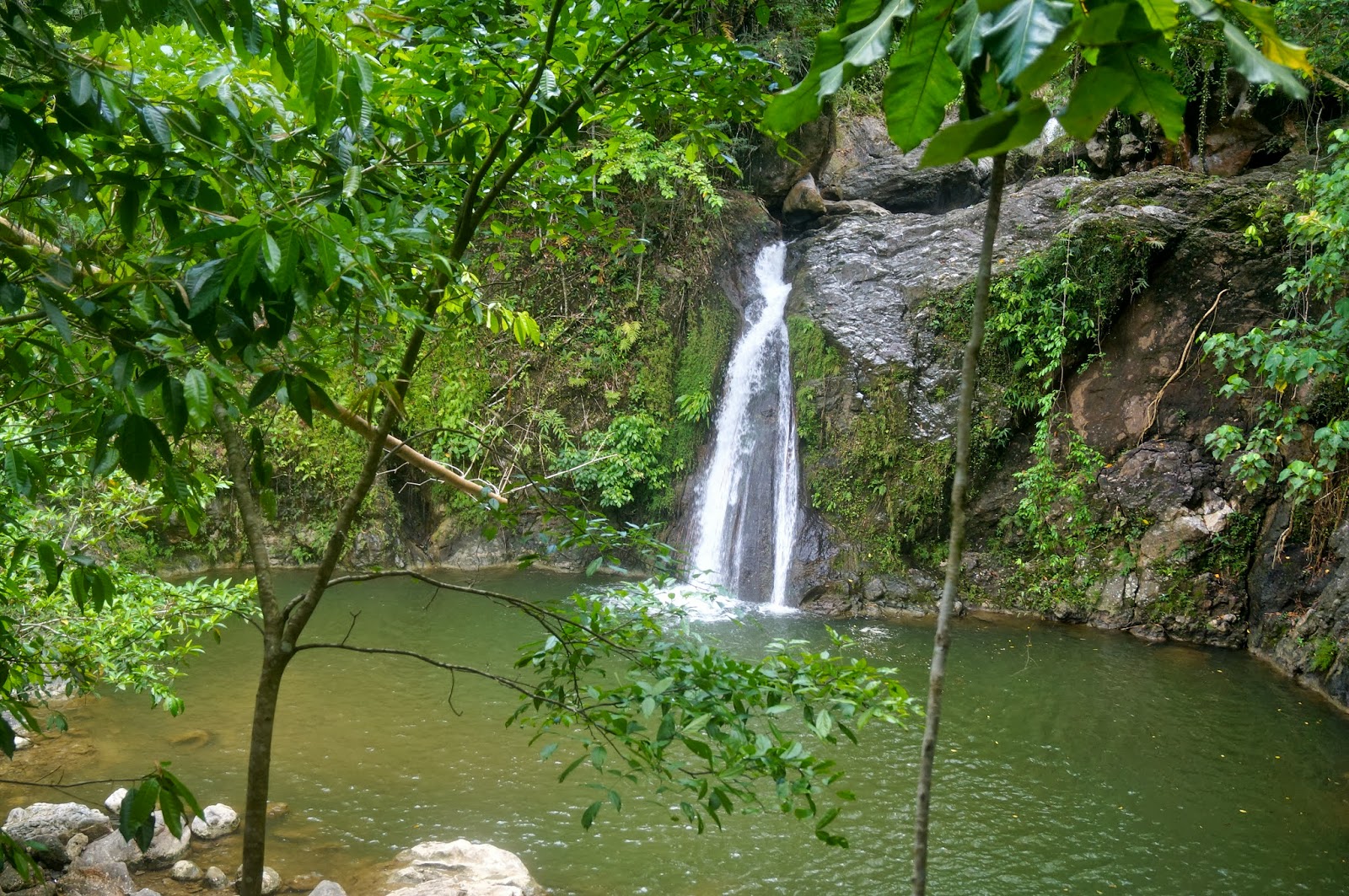 Trekking then Swimming in a Hidden Falls in Toledo