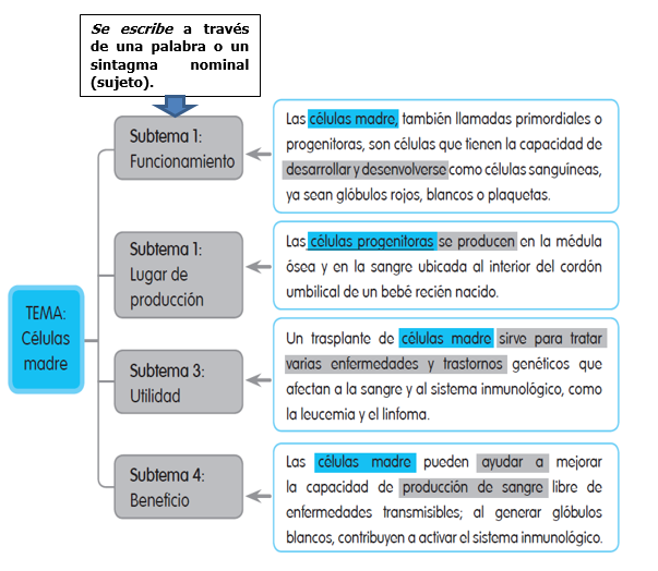 Currículo y Educación: Cómo determinar las ideas relevantes en un texto