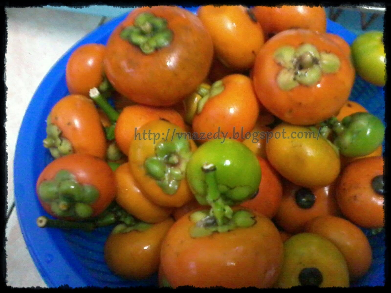 ♥ aku dan dirimu ♥: Buah Chupu