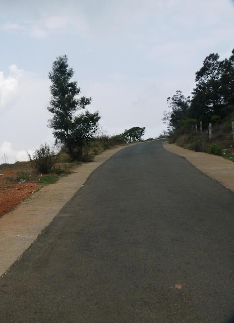 Tamilnadu Tourism: 32-Km Loop Road, Yercaud