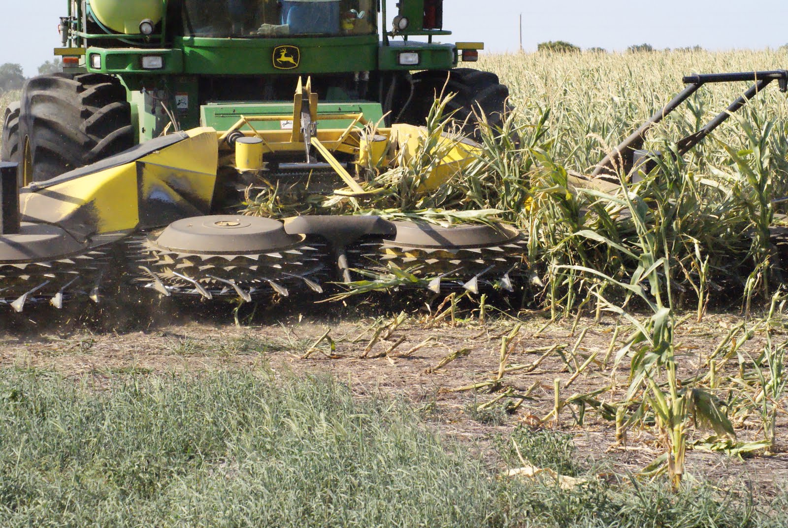Schragville: Corn Chopping