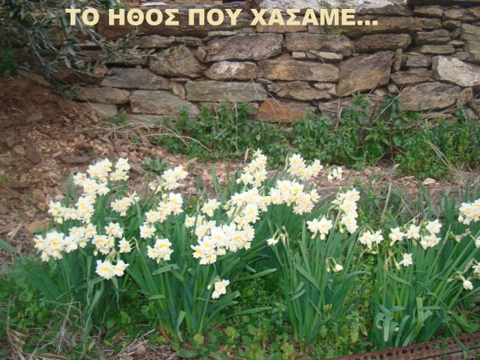 TΟ ΗΘΟΣ ΠΟΥ ΧΑΣΑΜΕ...: Καλημέρα και σήμερα...