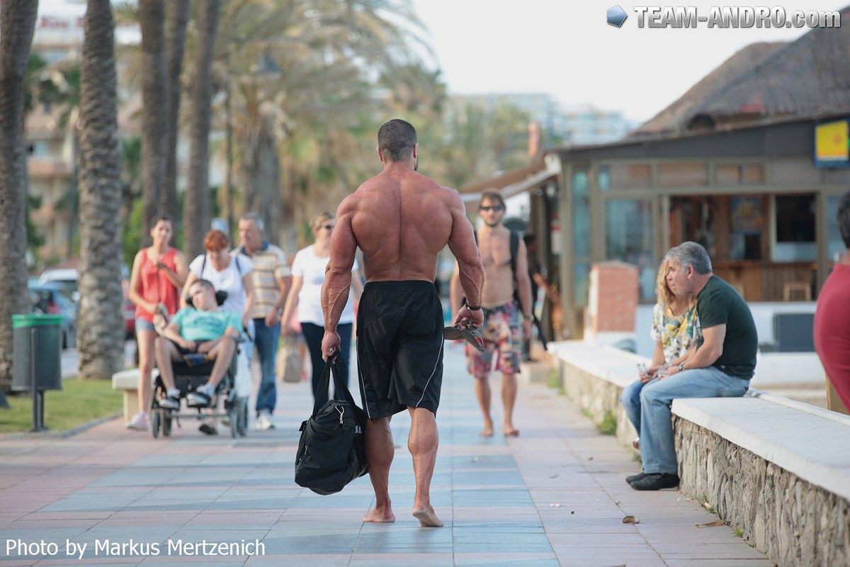 Worldwide Bodybuilders: German superman David Hoffmann