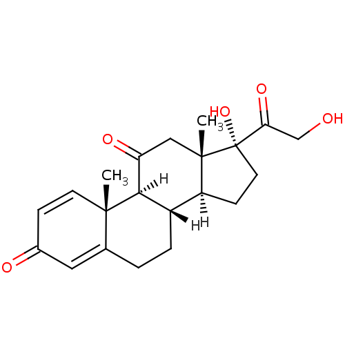 Pharmacology Of Prednisone
