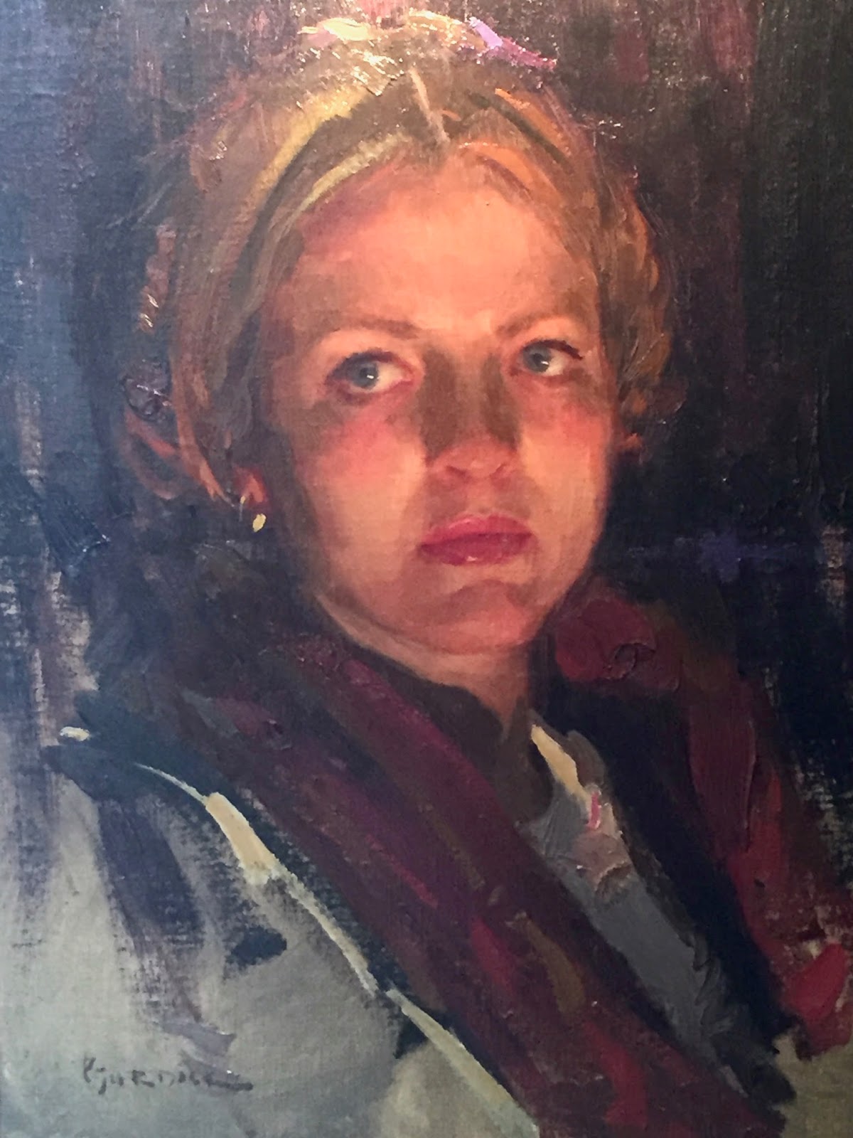 Nancy Franke, Musings on Painting