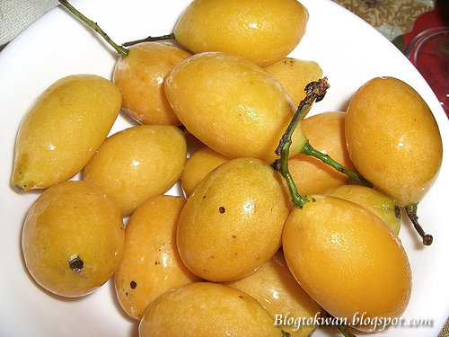 Buah Kundang ~ SAYA NAK SIHAT