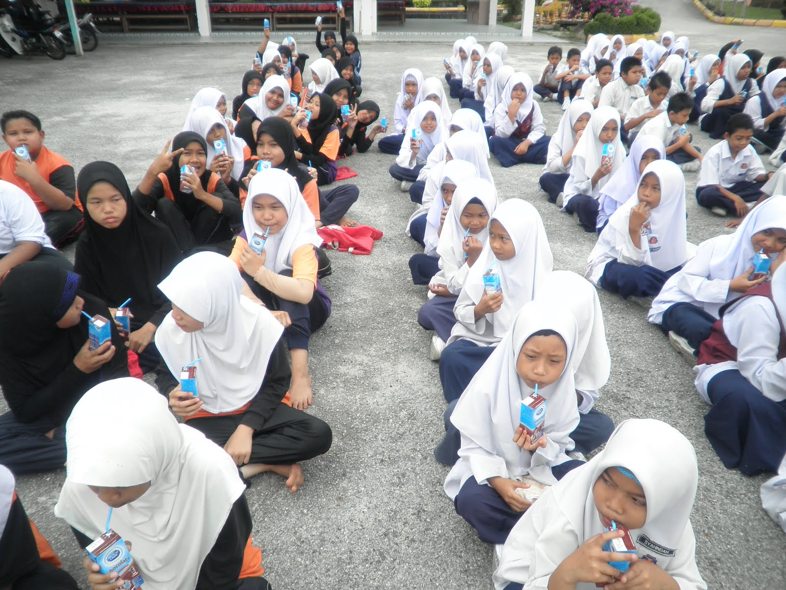TROLAK SELATAN: PROGRAM SUSU SEKOLAH 1 MALAYSIA ....