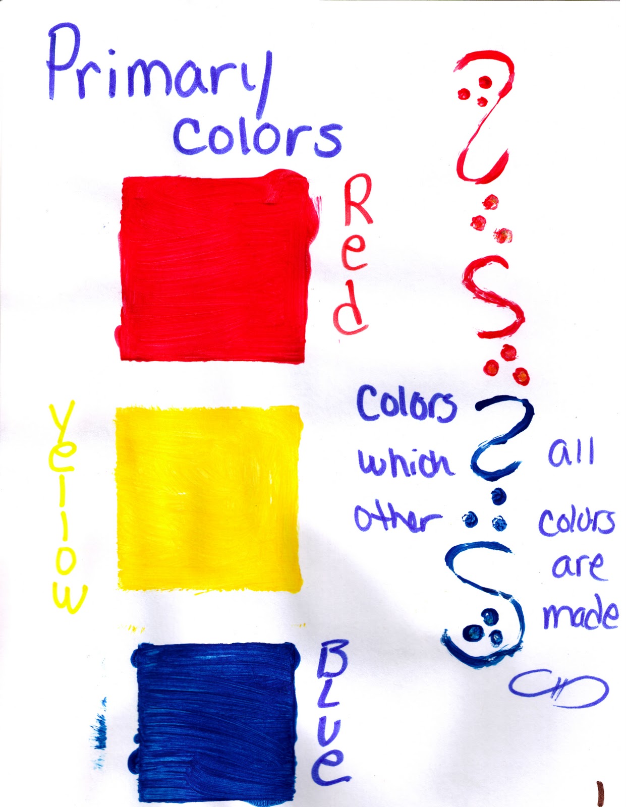 The kids left home and I got all the rabbits: Flower class colors my world.