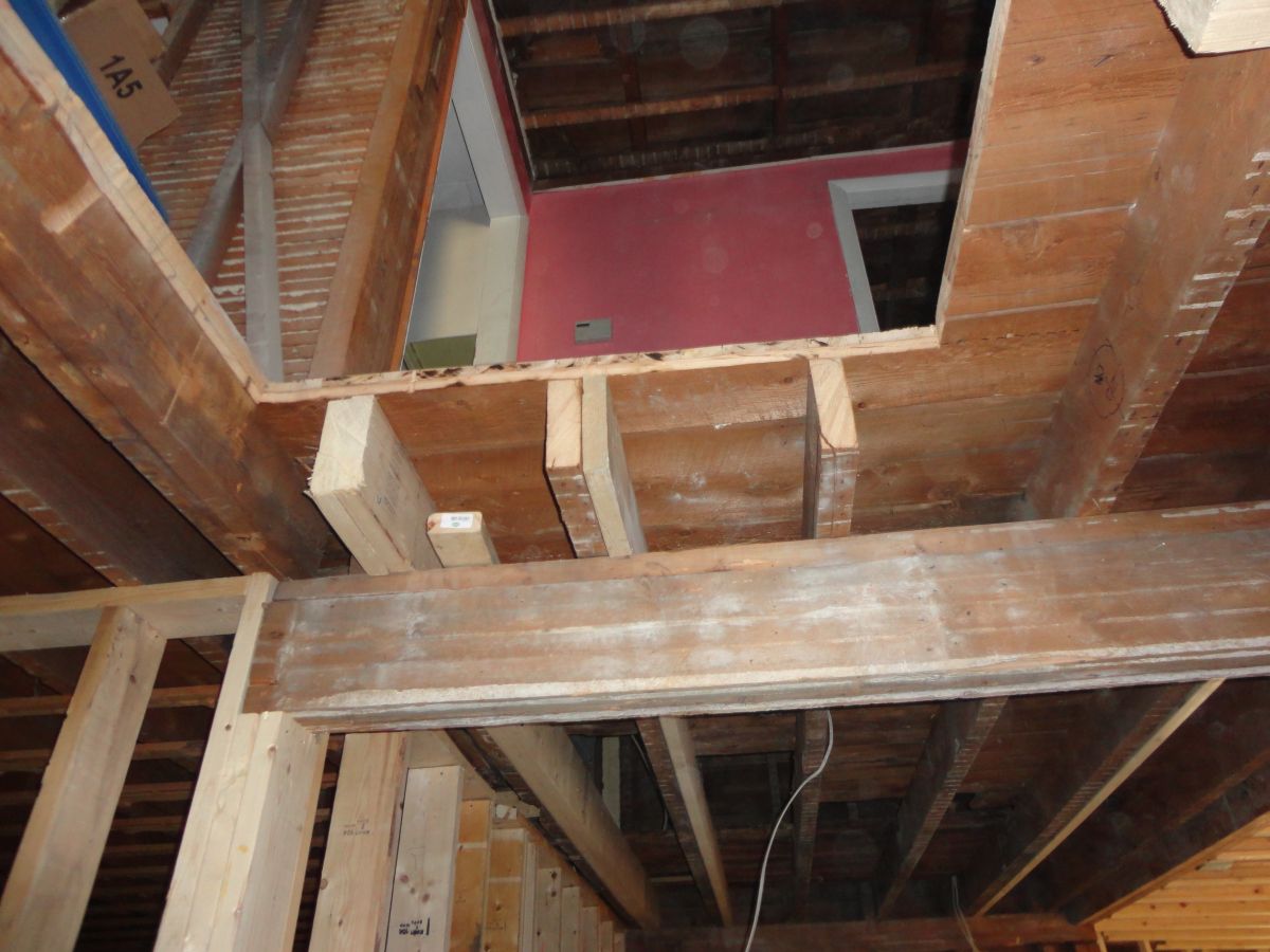 The Life of Cayce and Avi and Belle: Sistering a Joist