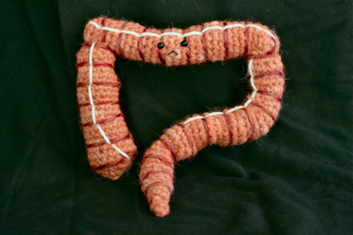 Snipsnaphappy: A Crochet Colon