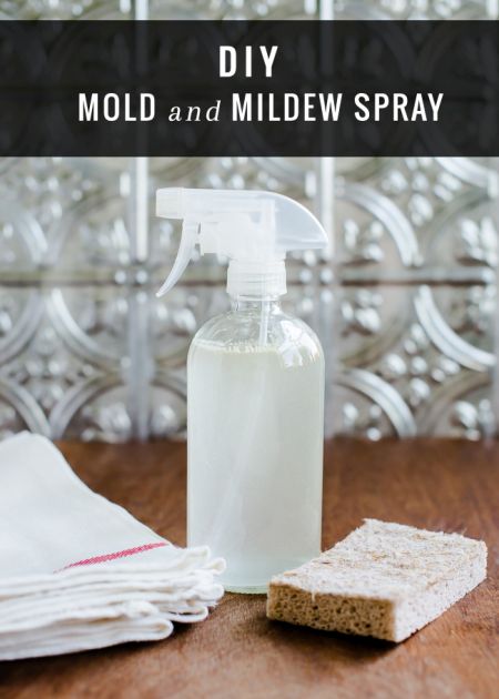 DIY Mold and Mildew Spray | Homemade to Healthy