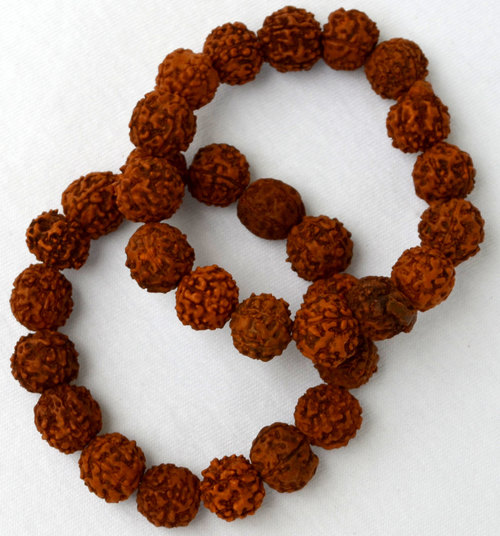 Crystals and Gemstones: Details about the Rudraksha and how to purchase