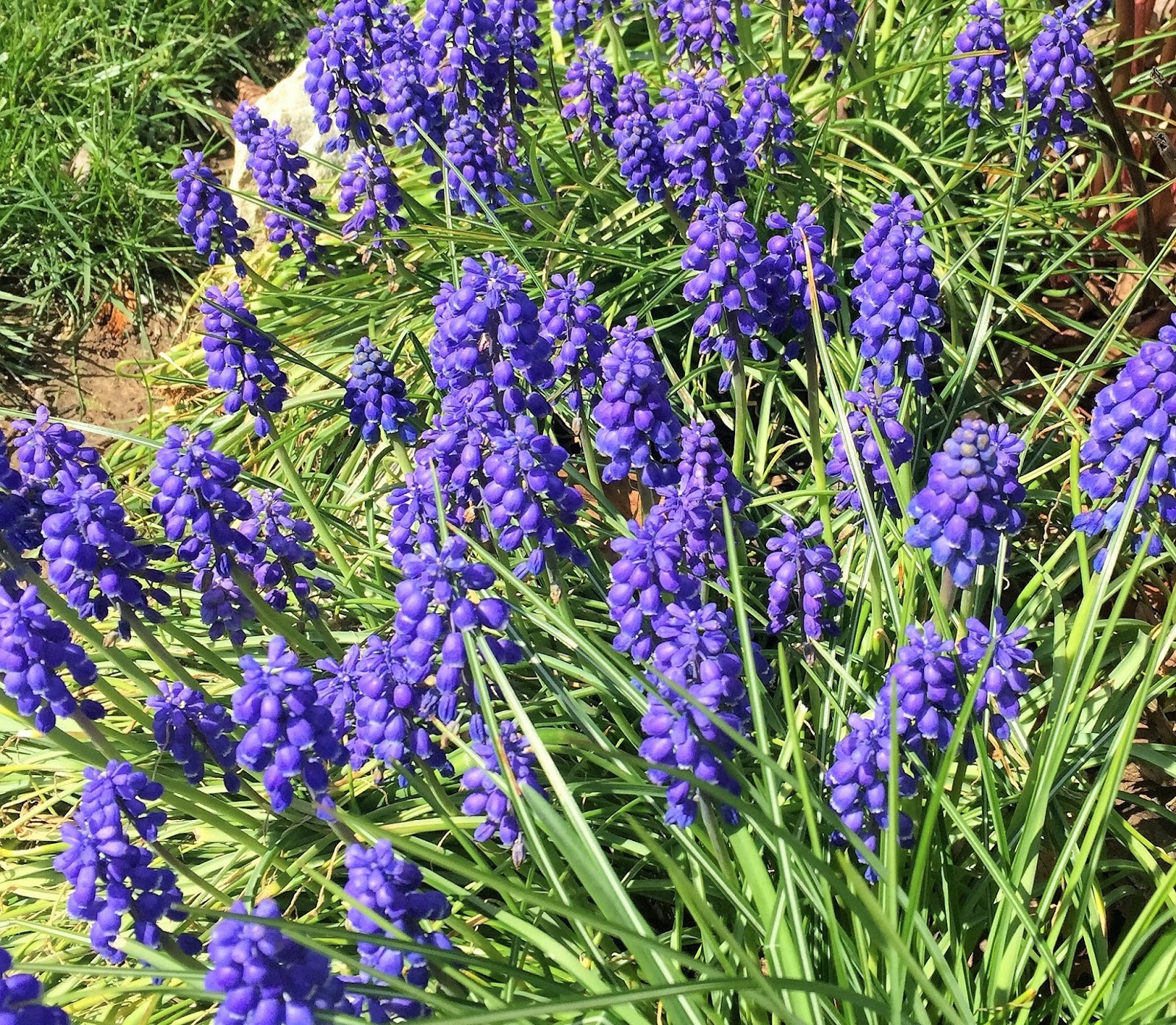 Souvenir Chronicles: DELAWARE: STATE HIGH POINT