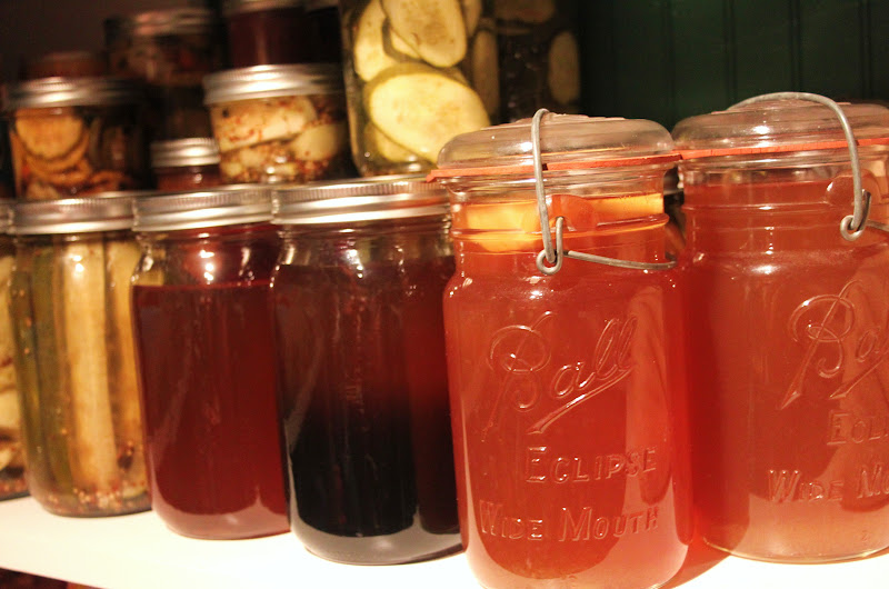 Great Scott: WHAT WE'RE MAKING? A MOTHER SCOBY FOR KOMBUCHA TEA